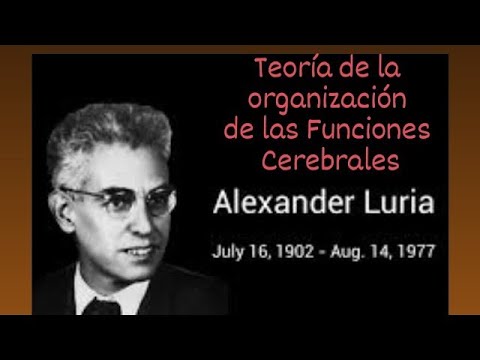 Enfoque sistémico de las funciones mentales superiores de Alexander ...