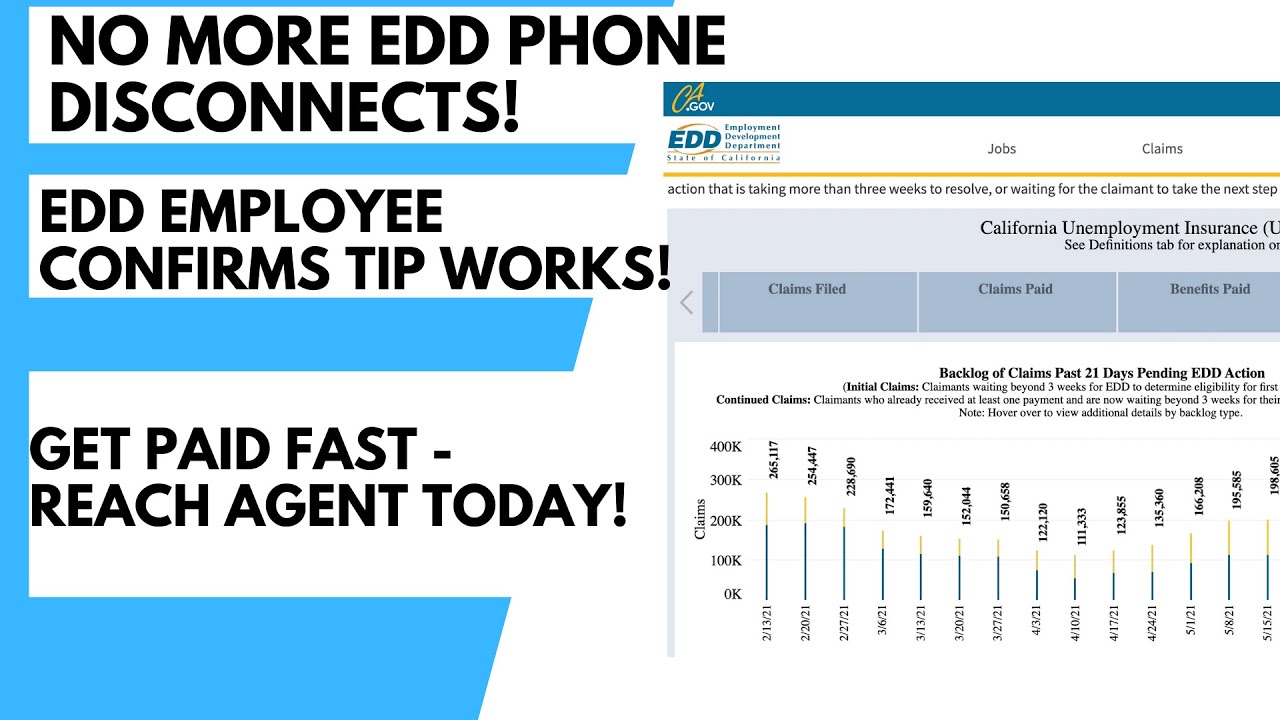 CA EDD PHONE UPDATE EDD Employee Confirms New Trick To Stop Getting ca-edd-phone-update-edd-employee-confirms-new-trick-to-stop-getting