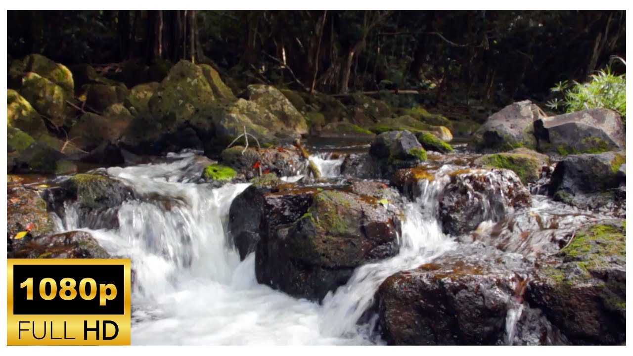 Gentle River Flow For Sleep Music | Gentle River Flow Meditation Music ...