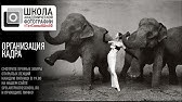 Абстрактная фотография [творческая беседа] - YouTube