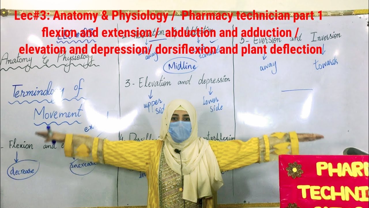 Lec#3: Anatomy / flexion and extension / abduction and adduction ...