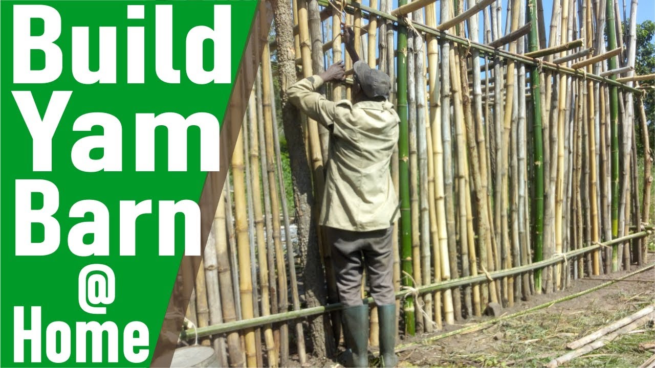 Constructing a Yam Barn with My Dad and Siblings - YouTube