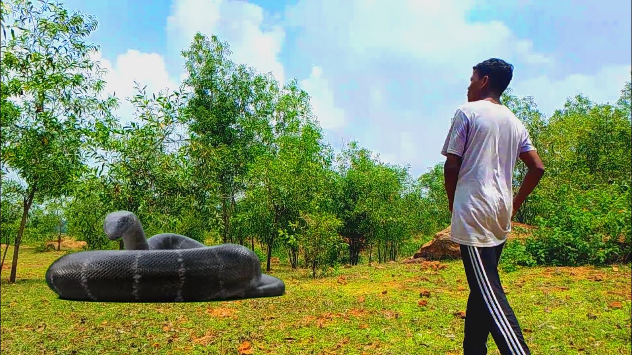 Biggest Anaconda Snake Attack Man In Forest | part - 21 - YouTube