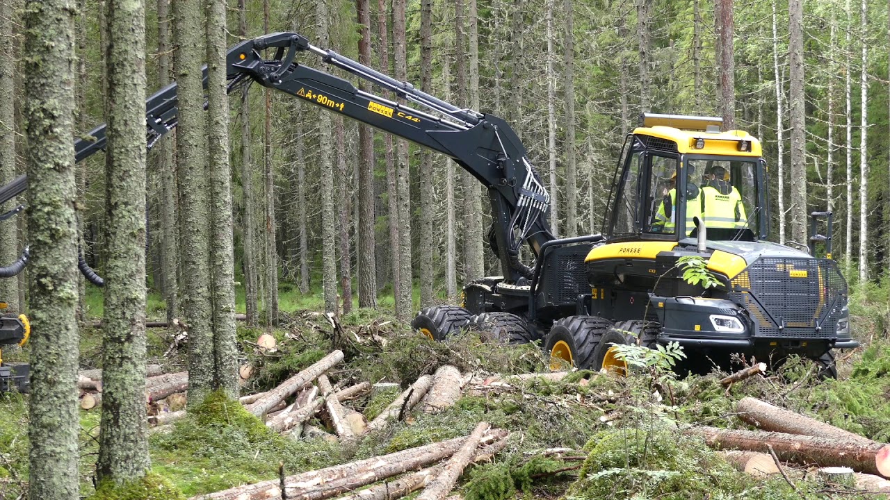 Ponsse Cobra harvester: first logging demo - YouTube