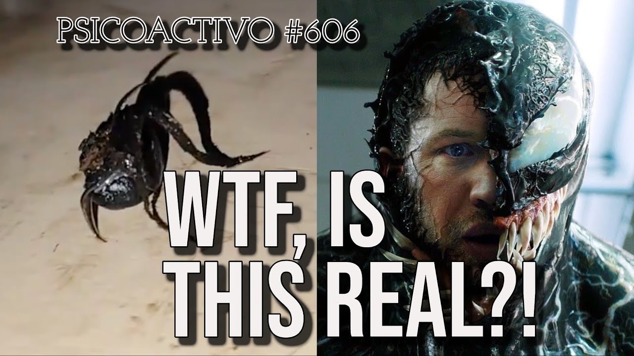 Venom-like biological entity allegedly found at Meteorite crash site in ...