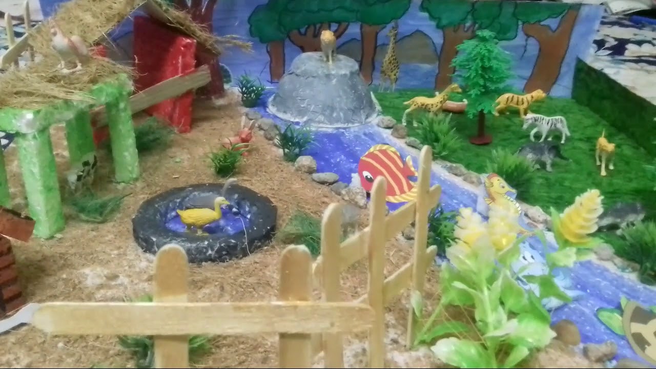 Project on domestic,wild and water animals - YouTube