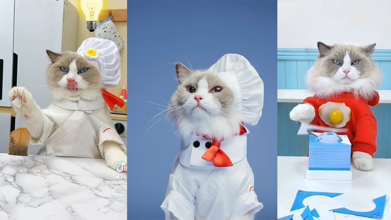 That Little Puff - Best SHORTS March 2024 - YouTube