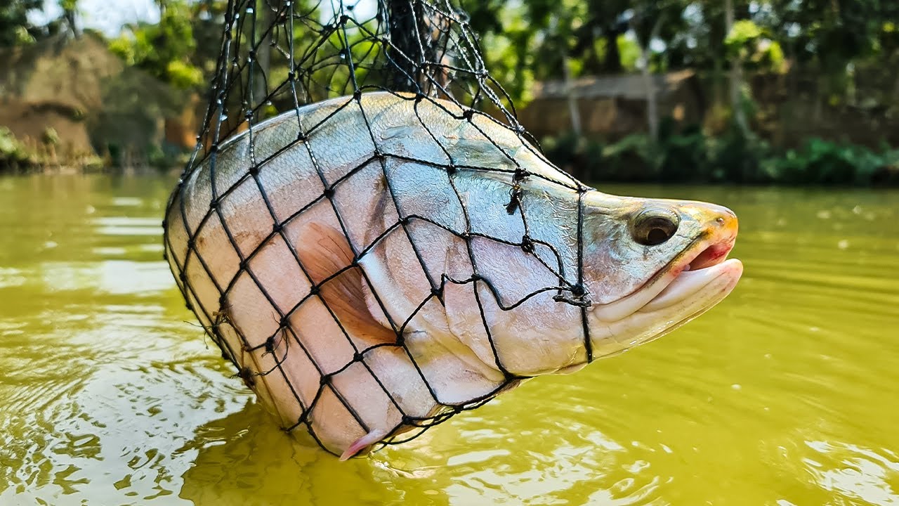 Unique Underwater Fishing | Best Fish Catching | New Best Fishing Video ...