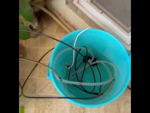 Drip irrigation - Solar, Node-Mcu, MQTT, Flutter - YouTube