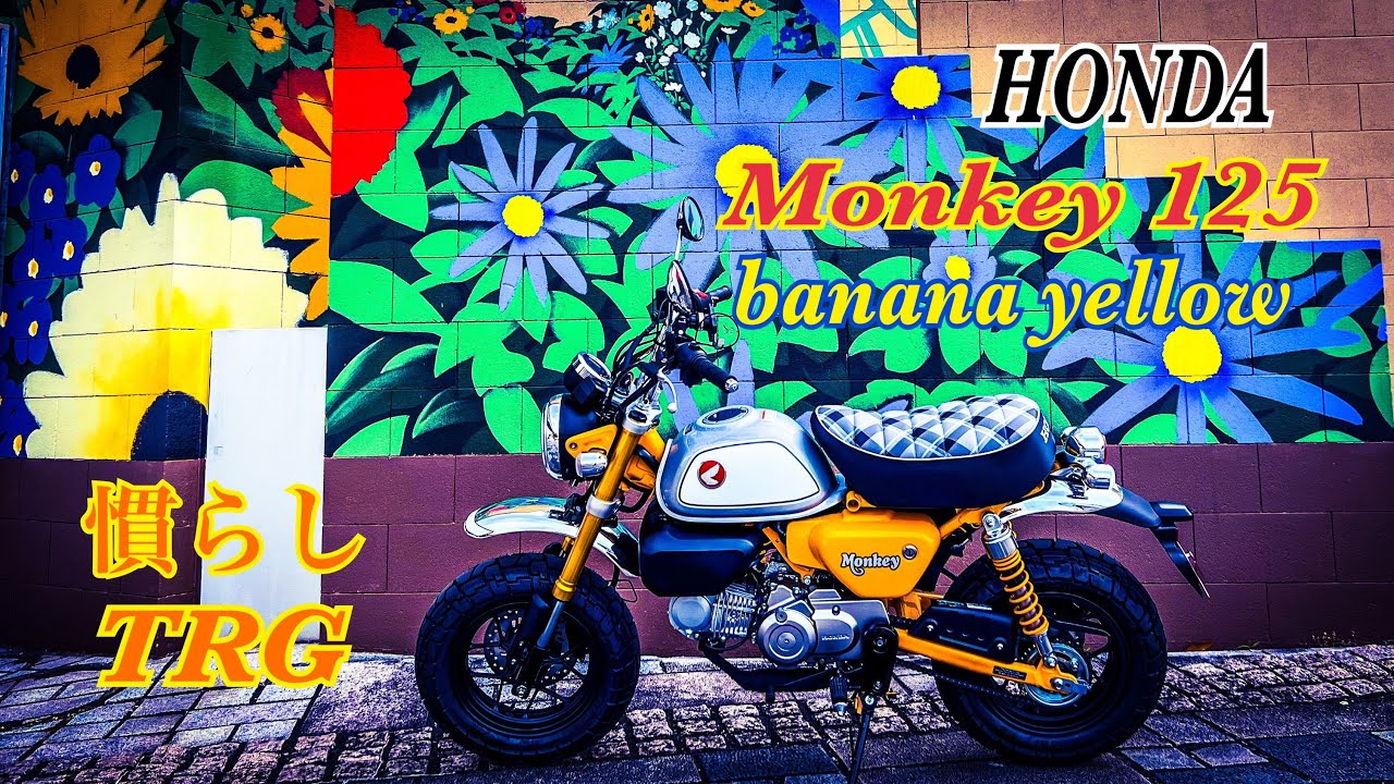 【Monkey 125】HONDA Monkey 125 banana yellow 慣らしTRG まだまだ1,000kmはほど遠いなぁ〜😅😂 ...