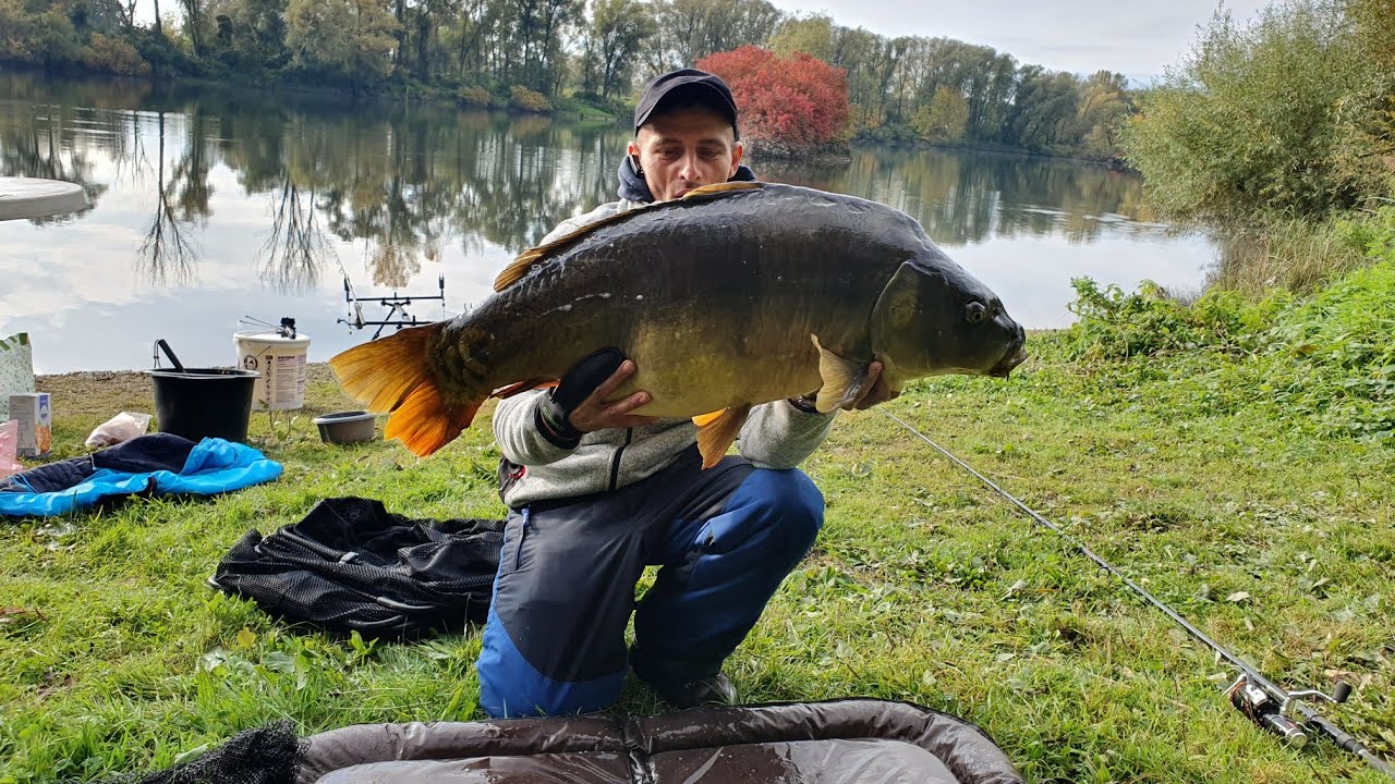 Pescuit la Crap pe Dunare - YouTube