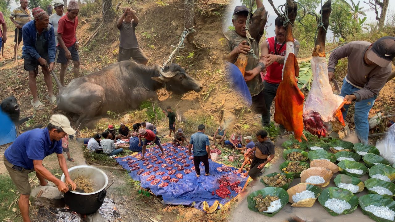 New Year 2082 Buffalo Cutting in Nepali Village🇳🇵|| Cooking and Eating ...