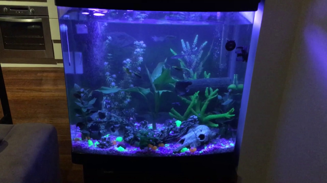 Amazingly colourful fish tank new 105 litre ecosystem - YouTube