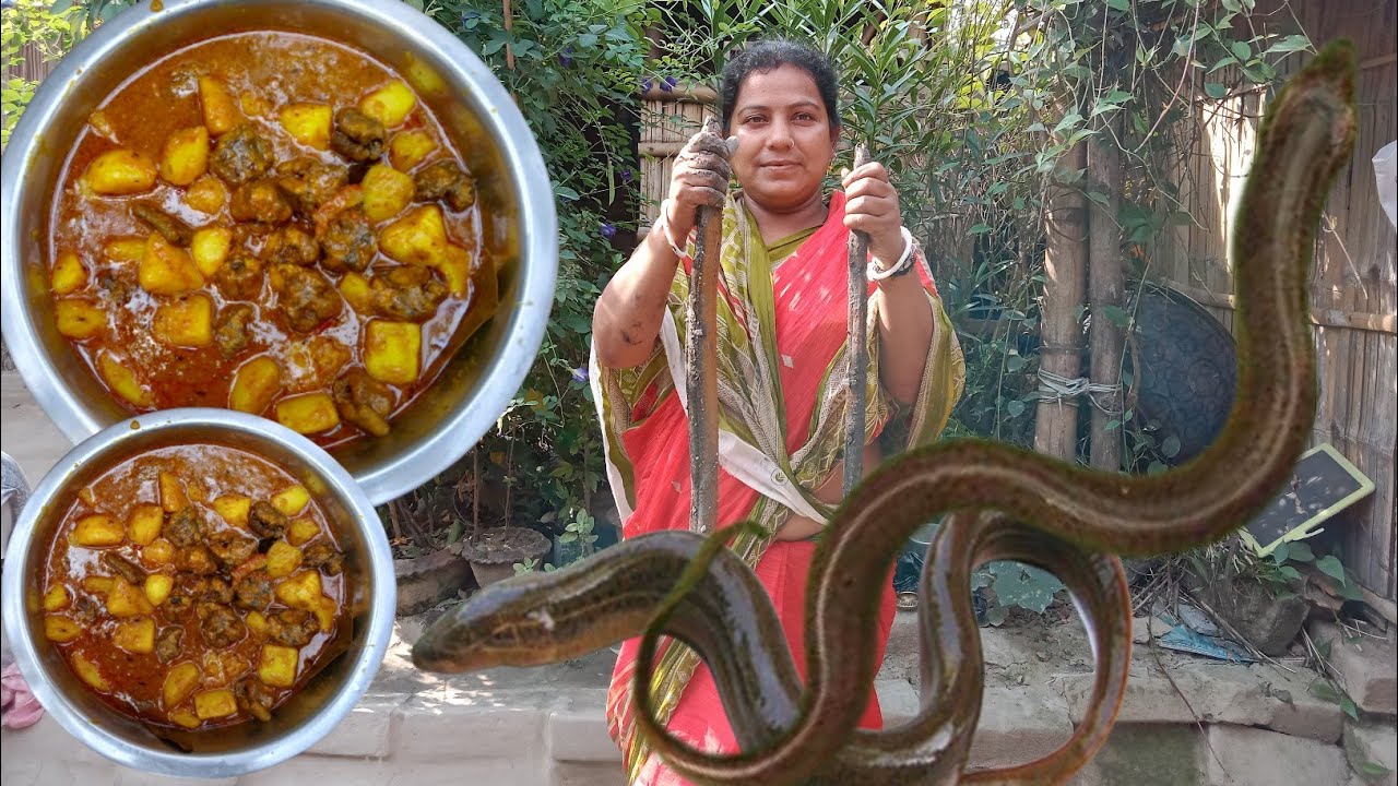 Blood Increaser Kuche Fish Recipe|কুচে মাছ কাটার সহজ পদ্ধতি সহ কুচে মাছ ...