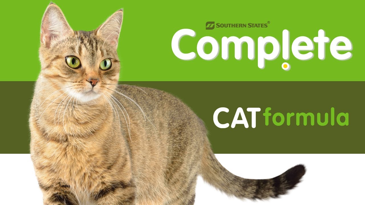 Southern States Complete Cat Formula - YouTube