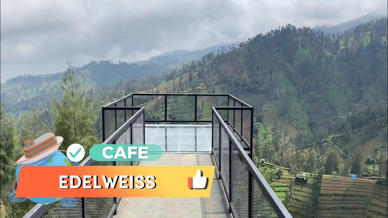 REVIEW CAFE TAMAN EDELWEISS WOKOKITRI BROMO || TEMPAT NONGKRONG TERBARU ...