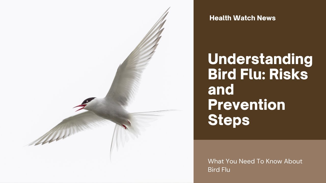 Bird Flu Scare CDC Investigates Washington our health is important ...