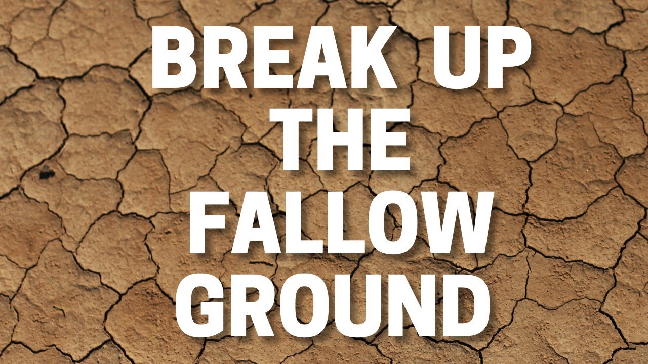 Break Up the Fallow Ground - YouTube
