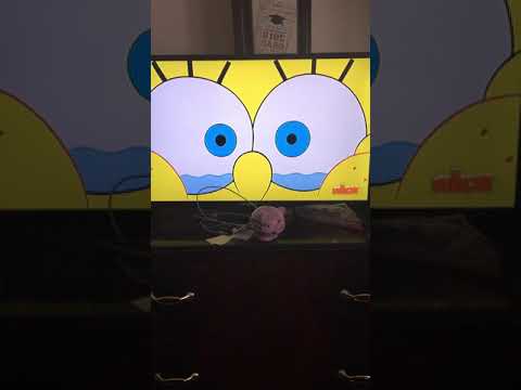 Spongebob wants a hug from Squidward - YouTube