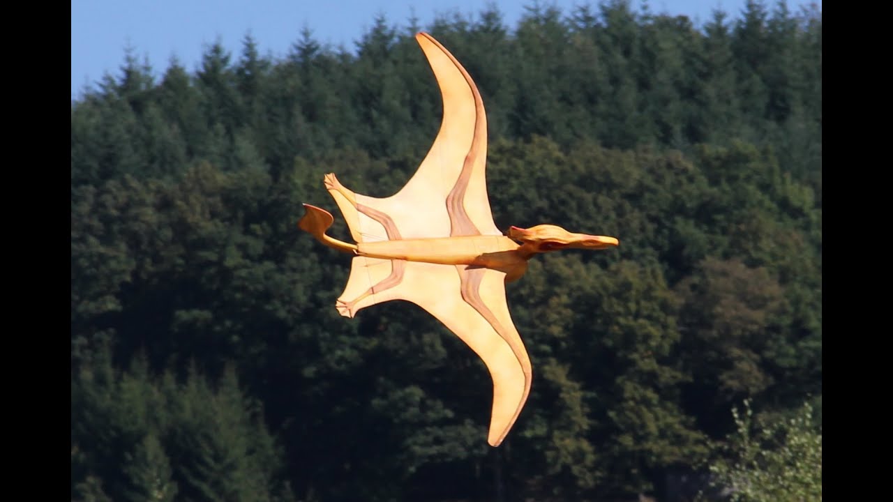 Flugsaurier Pteranodon über Camping & Ferienpark Teichmann am Edersee ...