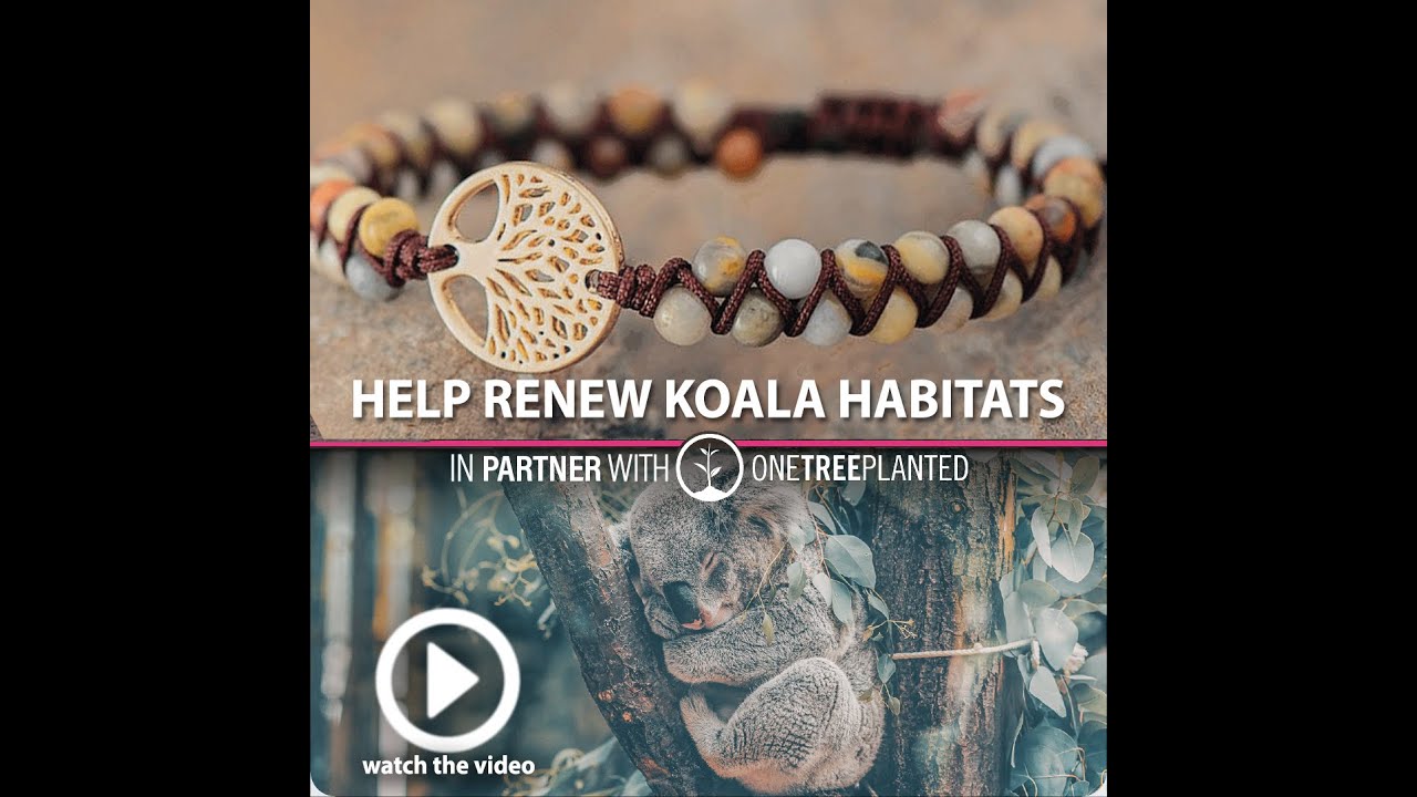 Yellow Gold Onyx Bracelet - Helping Renew Koala Habitats by Renew ...