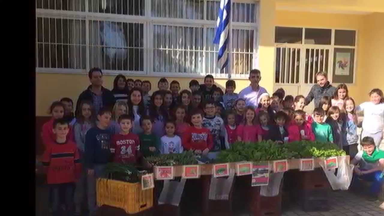 Παζάρι λαχανικών του κήπου μας βίντεο - YouTube