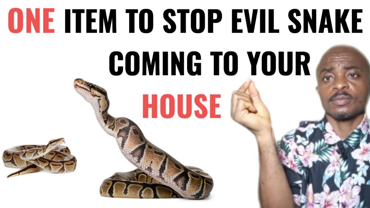 Keep This Item To Stop Snake/Evil Snake Coming To Your House | Stop ...