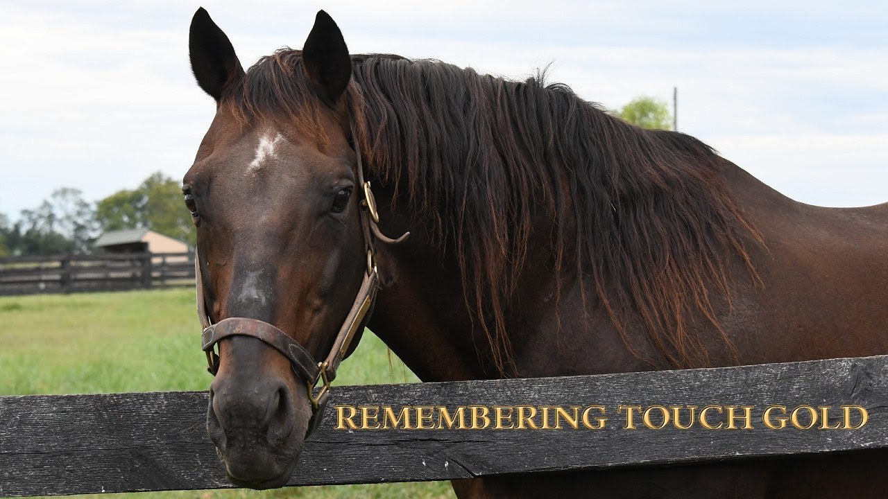 Remembering Touch Gold - YouTube