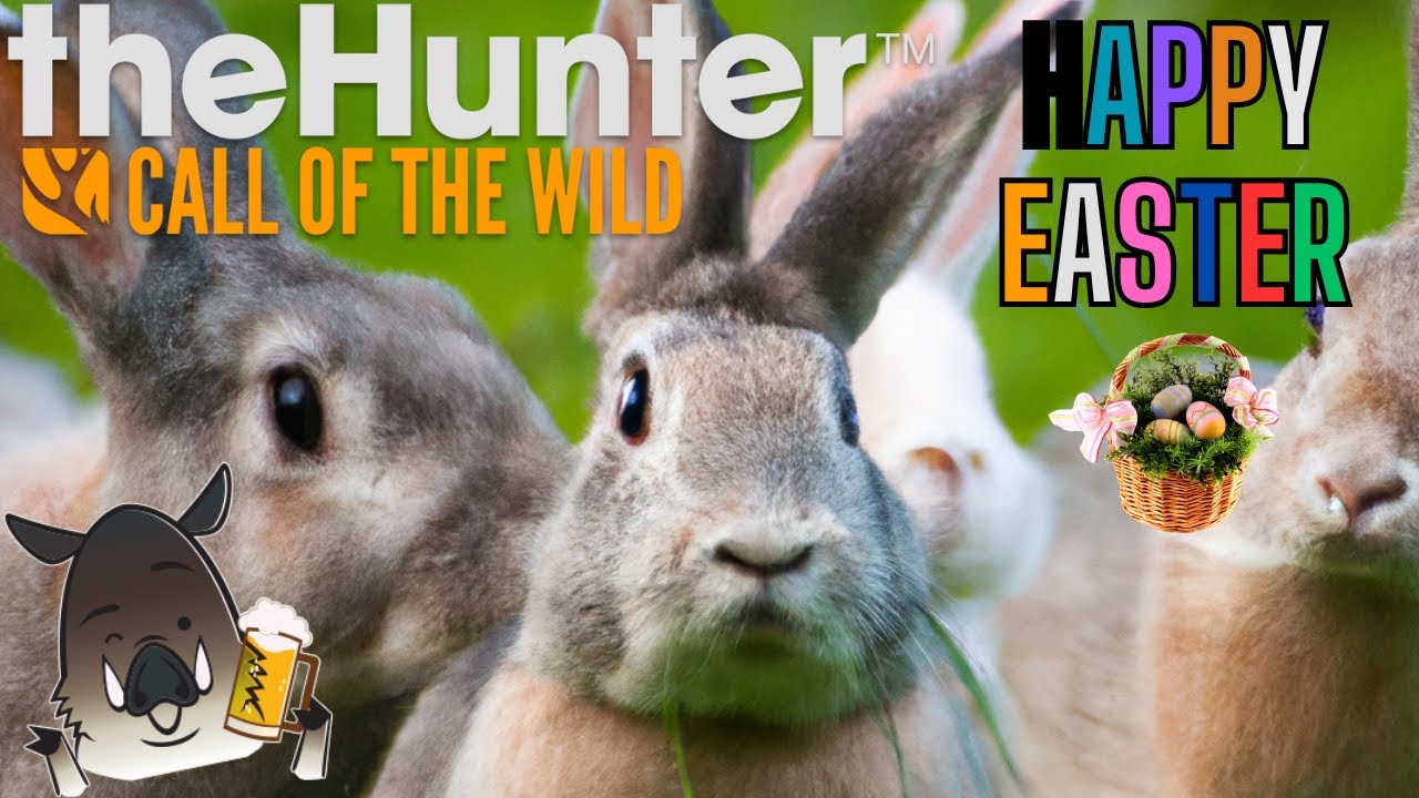 Rabbit Hunt For Easter Plus A Nice Piebald - The Hunter Call Of The ...