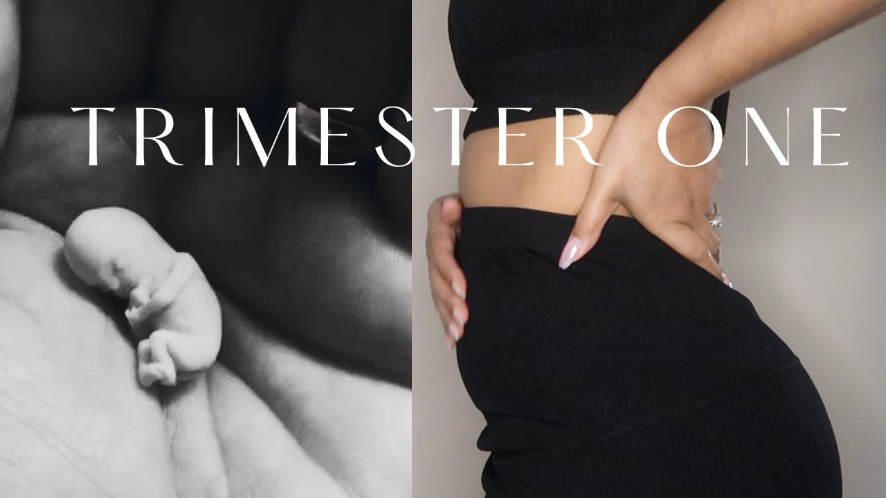 FIRST TRIMESTER WEEK BY WEEK RECAP | First Pregnancy Ultrasound | 9 AND 12 WEEK ULTRASOUND - YouTube