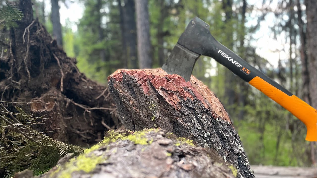 Felling Trees With A Hand Hatchet - YouTube