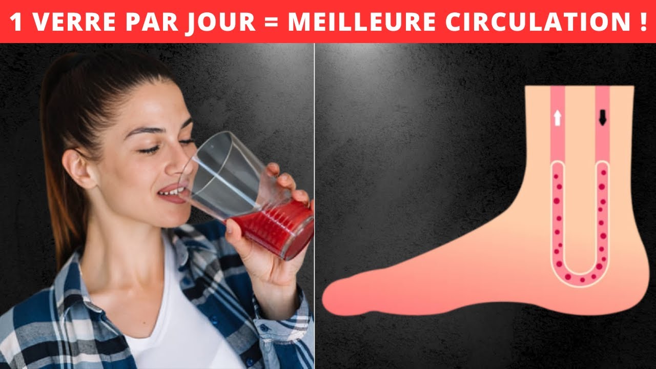 1 Verre par Jour Améliore le Flux Sanguin et la Circulation dans les ...