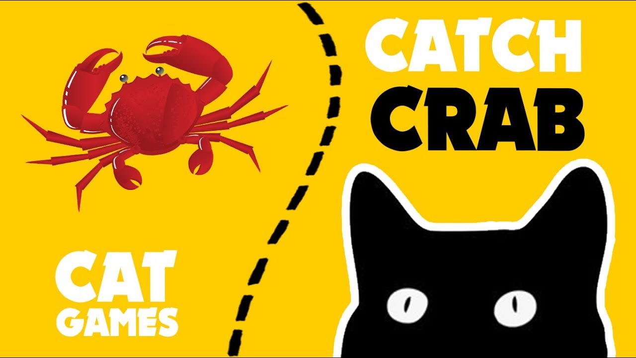 CAT GAMES ★ CATCH CRAB on screen - YouTube