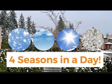 FOUR SEASONS in ONE DAY!!!! So Fascinating! - YouTube