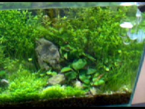 Nano 15l