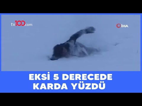 Eksi 5 derecede, karda yüzdü