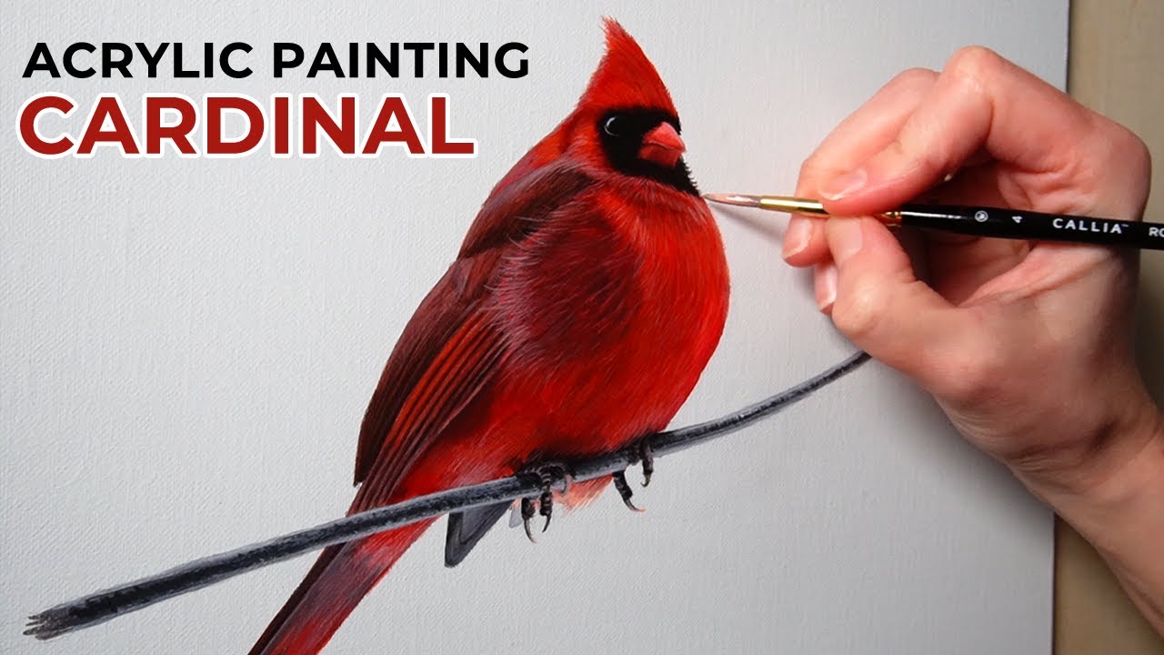 Cardinal Acrylic Painting | Timelapse Cardinal Bird Painting ...