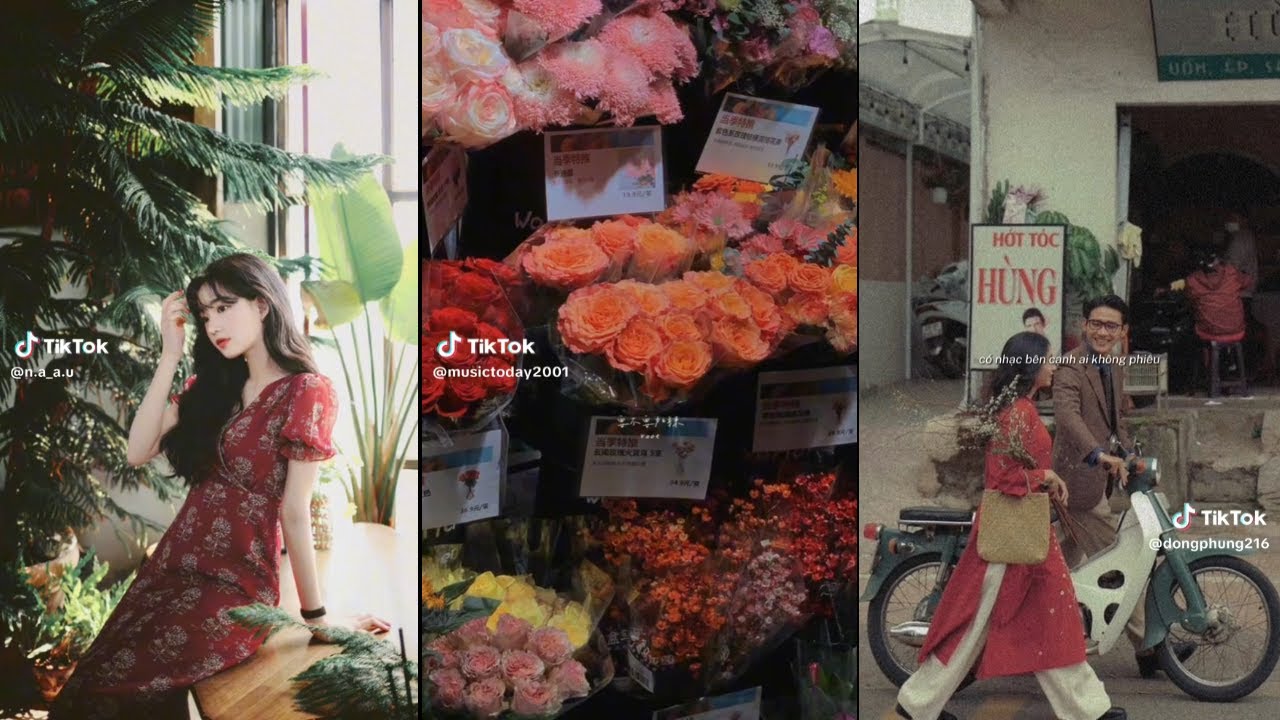 Nhạc Chill TikTok - Tổng Hợp Những Đoạn Nhạc Chill Giúp Thư Giãn #55 # ...