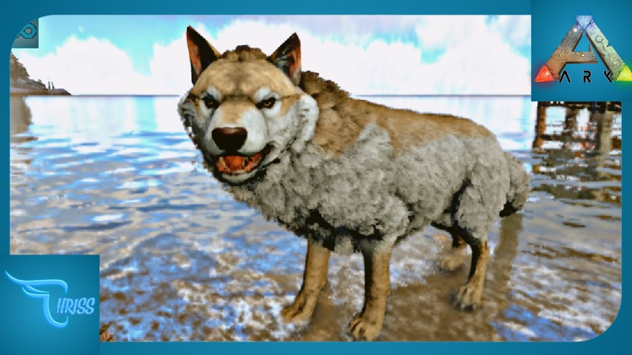 CARA MUDAH TAMING DIREWOLF EPS 71 || ARK: Ultimate Mobile Edition ...