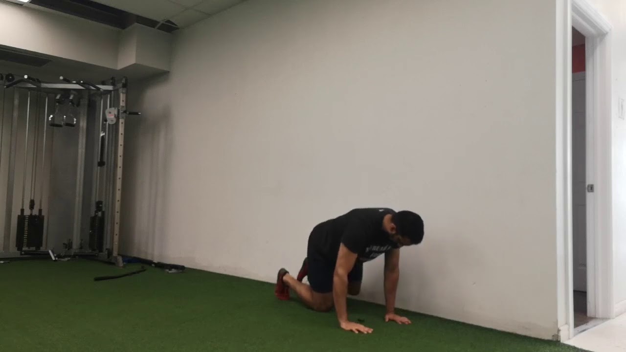 Quadruped hip abduction to wall pulse - YouTube