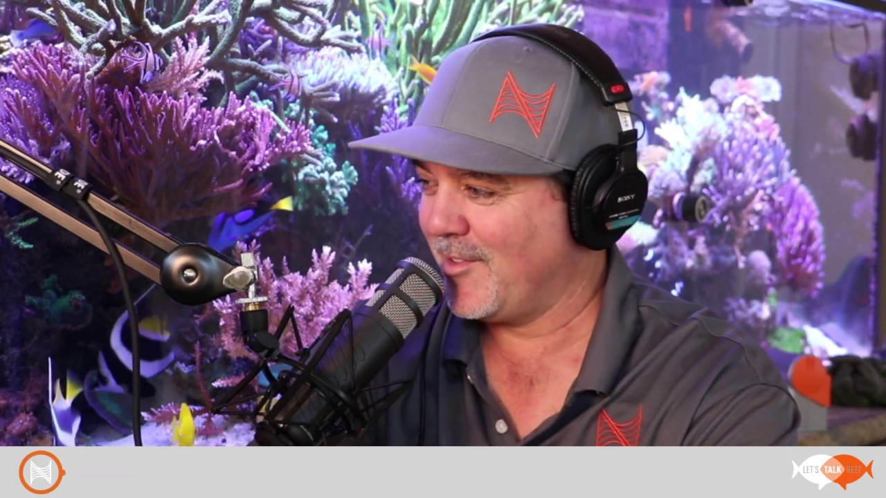 #LetsTalkReef - Setting up RODI Storage with Auto Fill Capability and ...