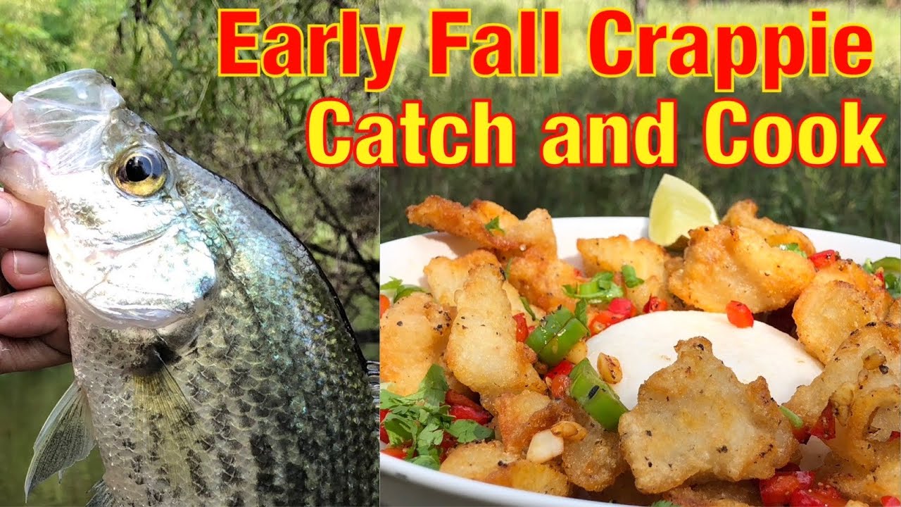 Early Fall Crappie and Bass | Catch and Cook - YouTube