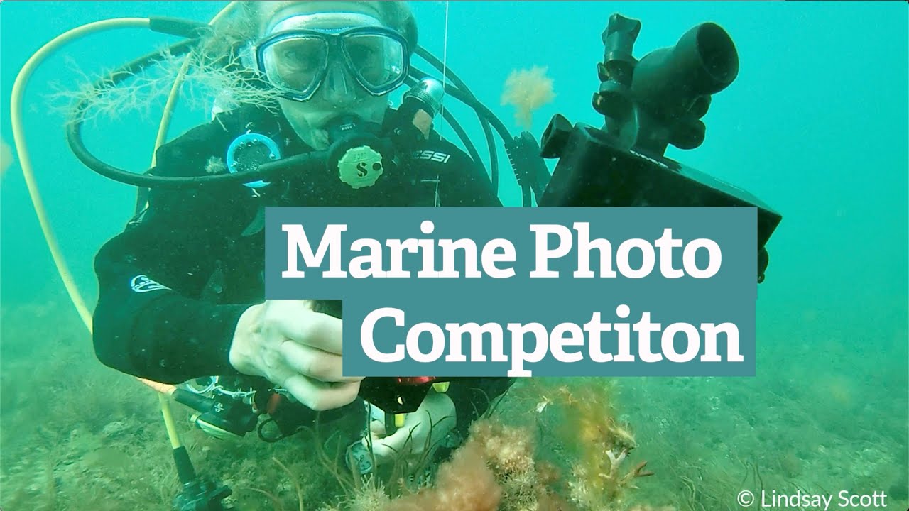 Marine Photo Competition - YouTube