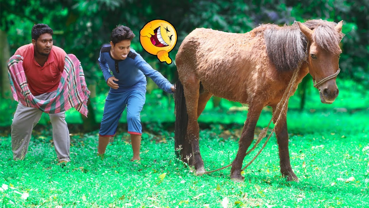 Non Stop Funny😂Comedy Videos 2019 | Try To Stop Laughing Challenge ...