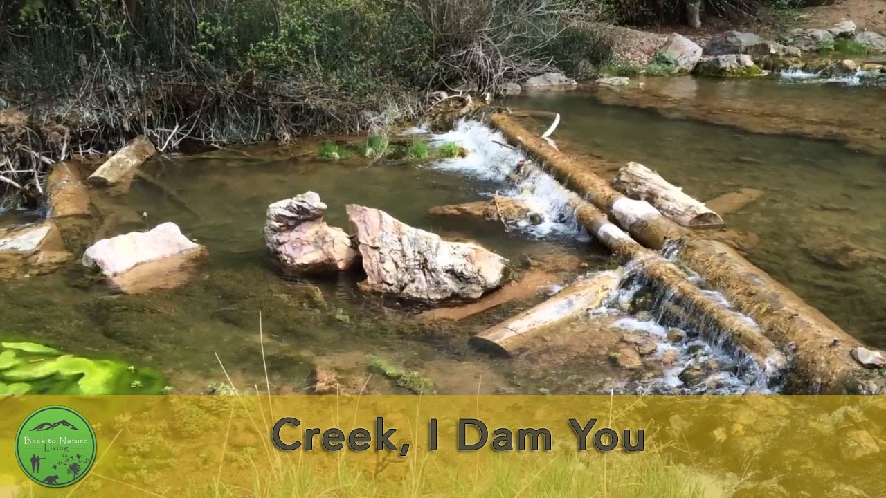 Creek I Dam You - YouTube