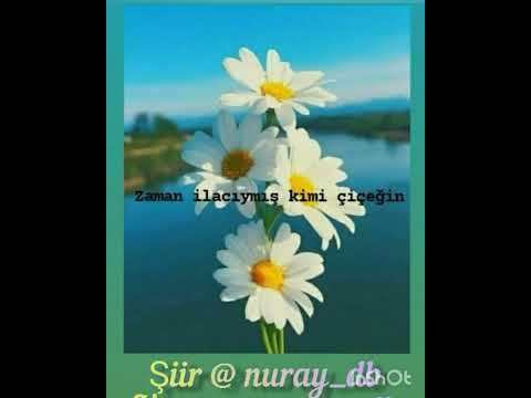 ELVEDA  #şiirsokakta  #şairlerdensözler #şiirheryerde  #elveda #hatıralar #seslişiir  #shortsvideo