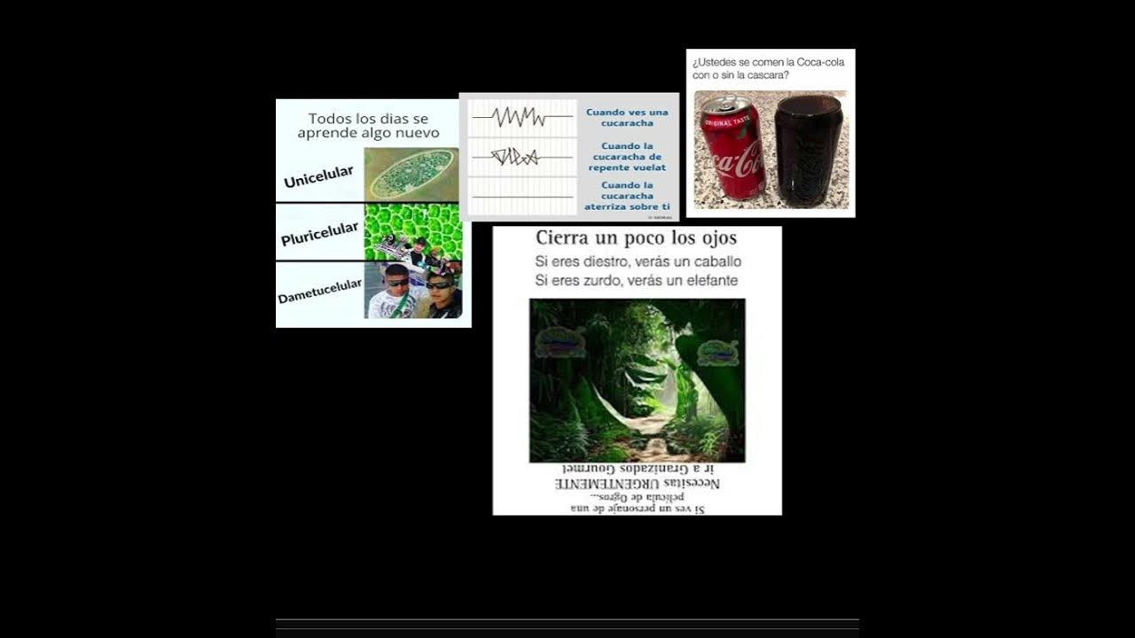 no se que titulo poner xd #memes - YouTube