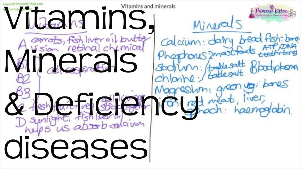 Vitamins, Minerals & Deficiency diseases | Biology GCSE and iGCSE - YouTube