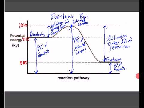 Unit 13 - Kinetics and Equilibrium (4-12-18) PE Diagrams - YouTube