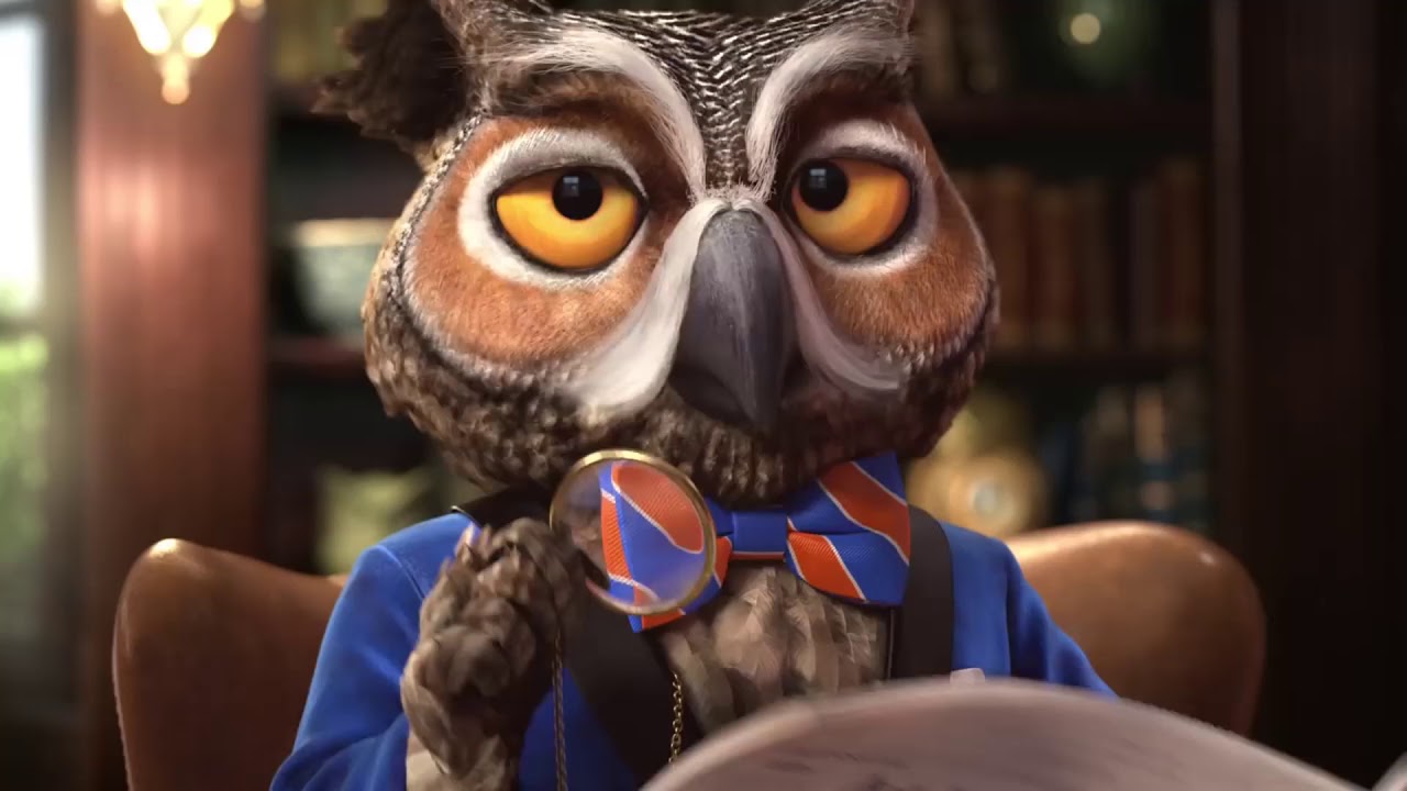 GEICO, WGU, Xyzal, & America's Best Owl 2017 Commercial Compilation ...